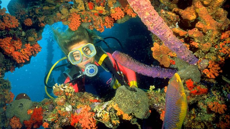 Extraordinary Caribbean Wreck Dives to Inspire Future Trips | TravelAge ...