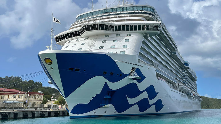 A Guide to Princess Cruises' Royal Class Ships | TravelAge West