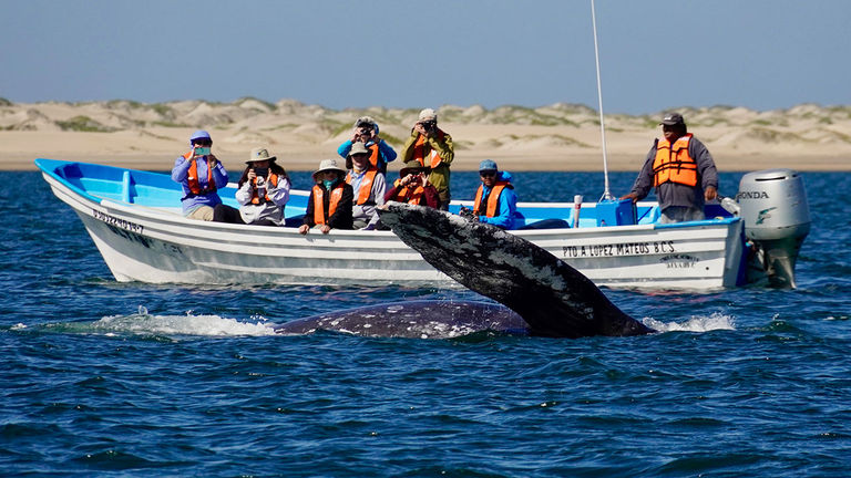 Cruise Review: National Geographic Venture | TravelAge West