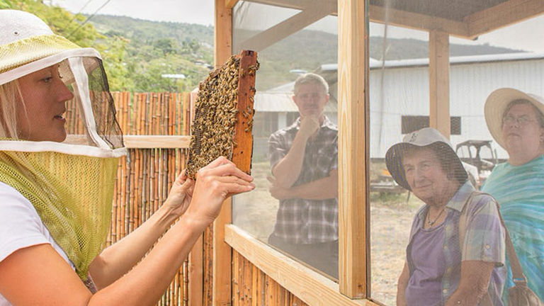 Hawaii Visitors and Convention Bureau Debuts Agent-Friendly Tool ...