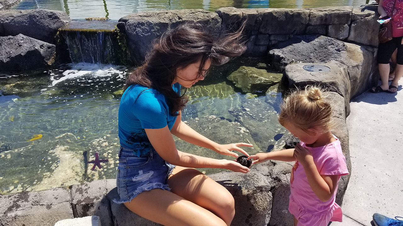 A Guide to Visiting NELHA on Hawaii Island | TravelAge West