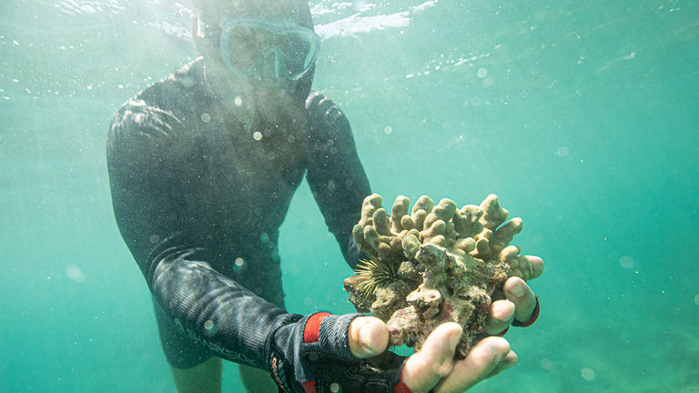 Review: Fairmont Orchid on Hawaii Island | TravelAge West