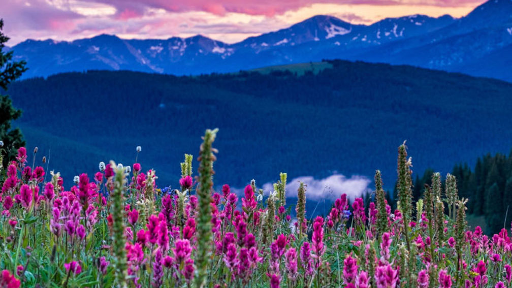 Why You Should Also Visit Vail During Summer | TravelAge West