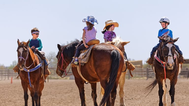 True Ranch Collection Highlights the American West With Its Portfolio ...