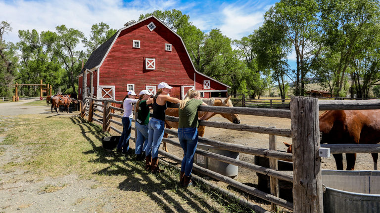 True Ranch Collection Highlights the American West With Its Portfolio ...