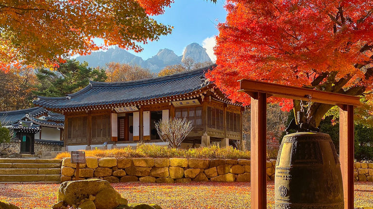 Unearthing Seoul's Hidden Gems | TravelAge West