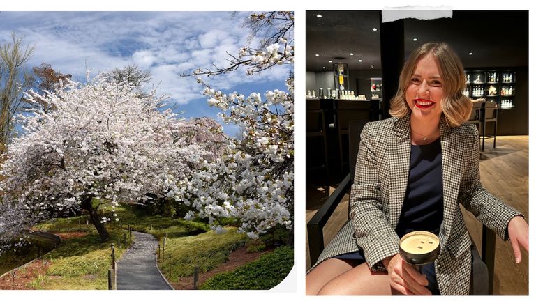 SmartFlyer Just Launched a Substack — Here’s Why Travel Advisors May ...