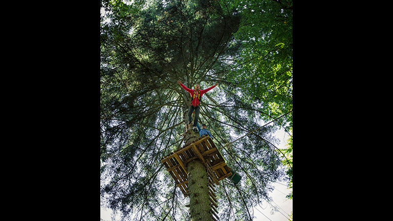 Interlaken Tours That Offer Heart-Racing Action | TravelAge West