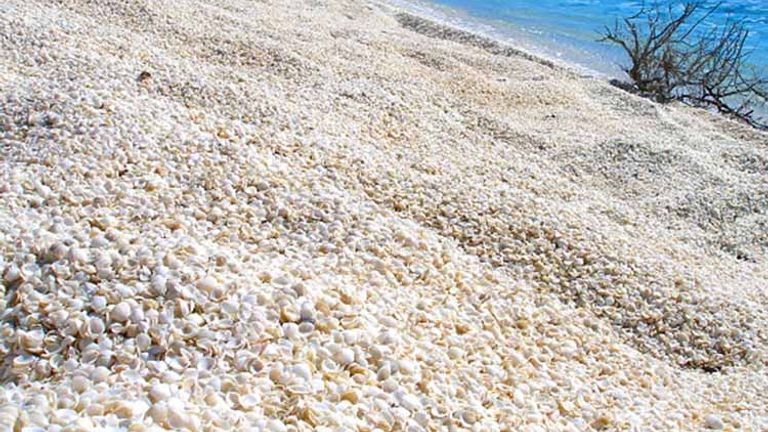 5 of the World's Most Unique Beaches and Coastlines | TravelAge West