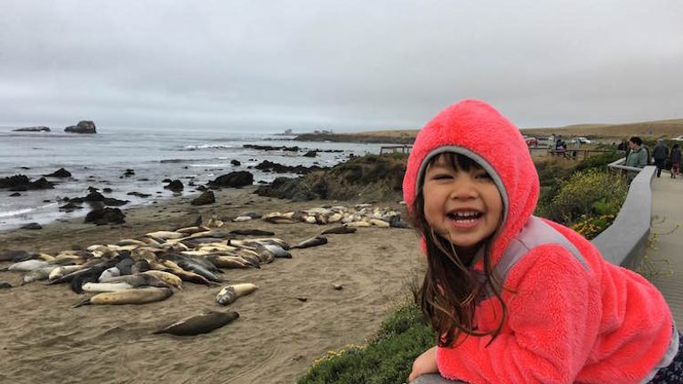 How to Navigate Big Sur With Kids in Tow | TravelAge West