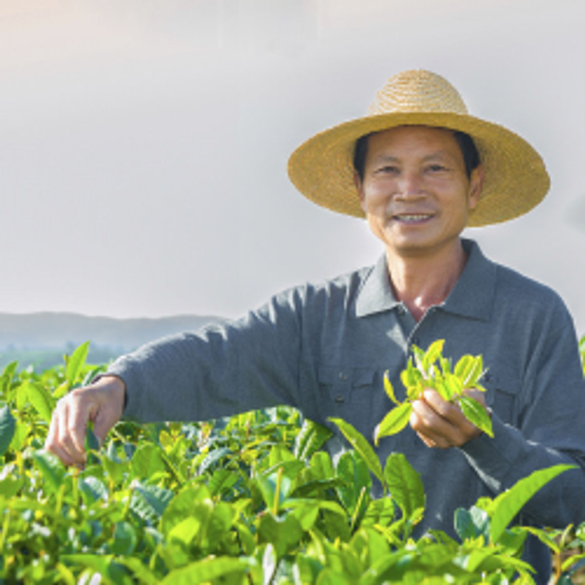 China’s Tea Trading Route | TravelAge West