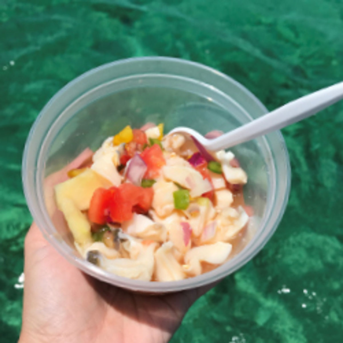 How to Conch Dive in the Caribbean | TravelAge West