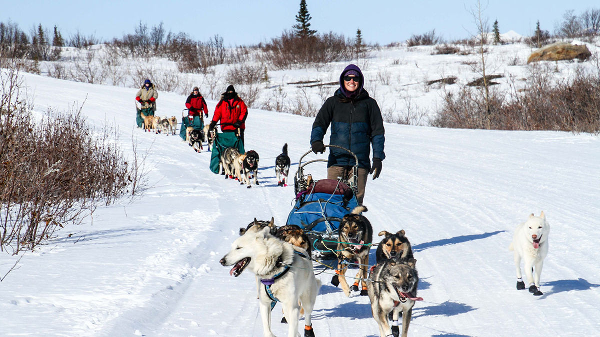 How to Have a Slumber Party With Huskies in Alaska | TravelAge West