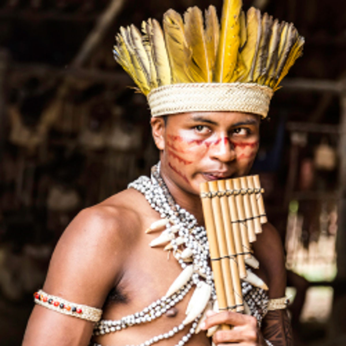 Cruise the Peruvian Amazon With AdventureSmith Explorations | TravelAge ...