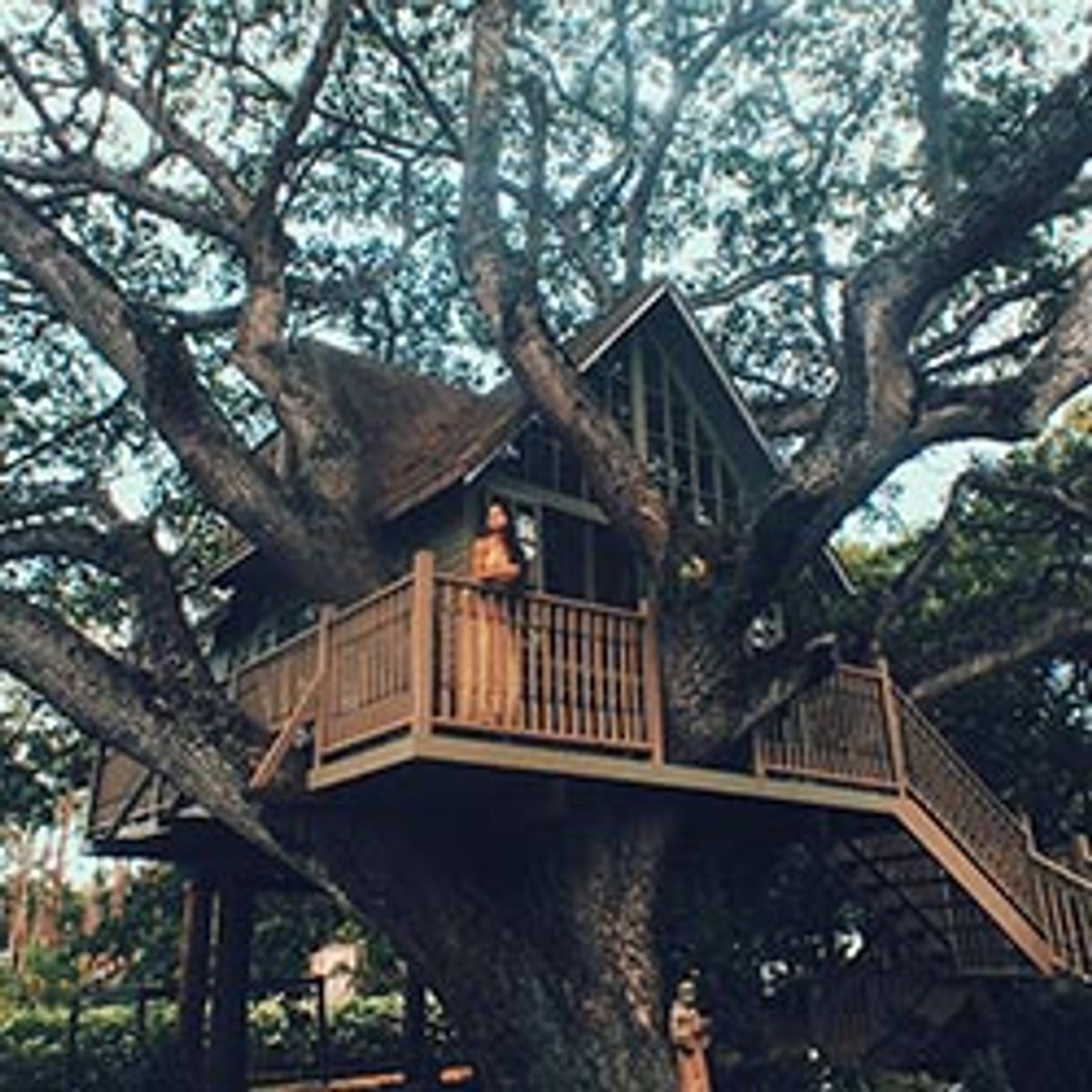 A Guide to Agritourism Activities in Puerto Rico | TravelAge West