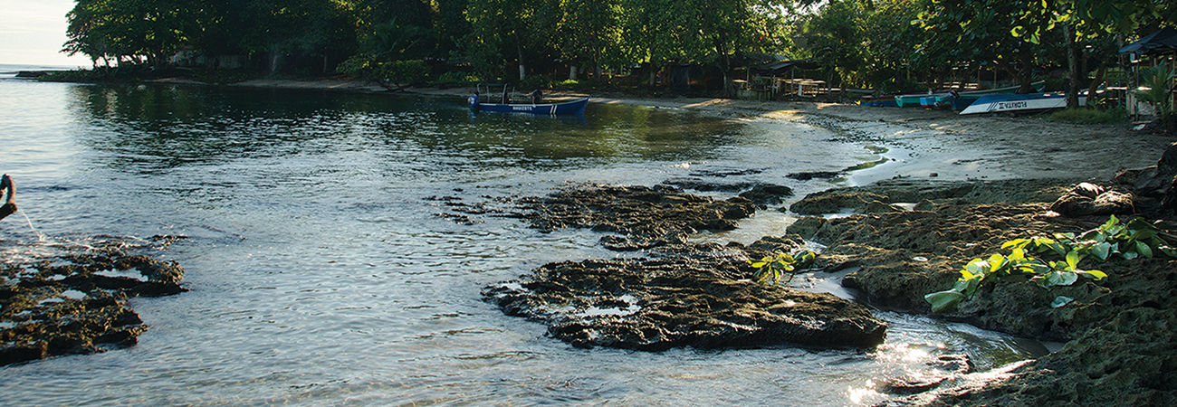 Puerto Viejo on the Costa Rican Caribbean Coast | TravelAge West