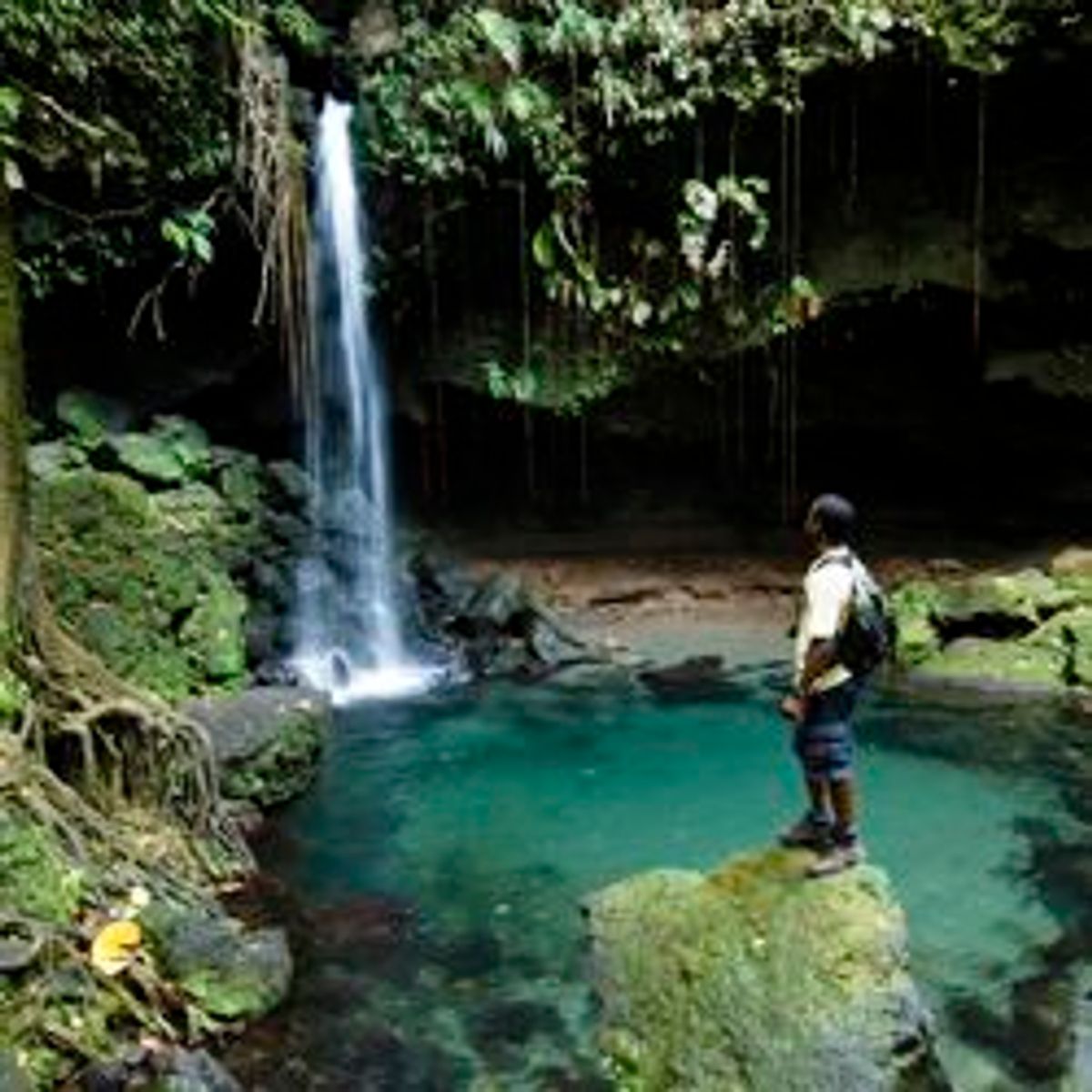 The Discover Dominica Movement | TravelAge West