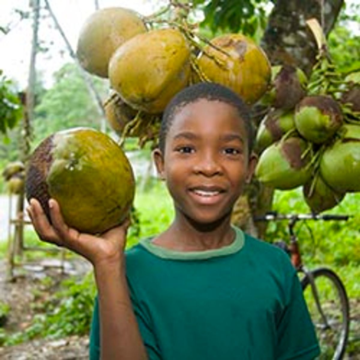 JAPEX Reveals What's New in Jamaica | TravelAge West