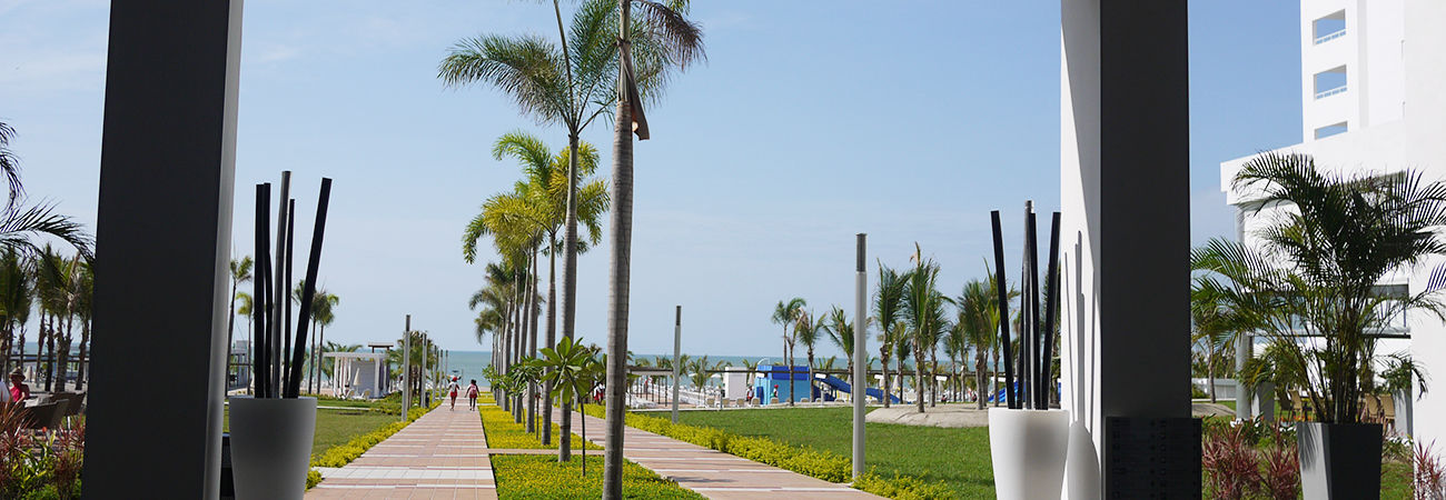 What to Expect From Hotel Riu Playa Blanca in Panama | TravelAge West