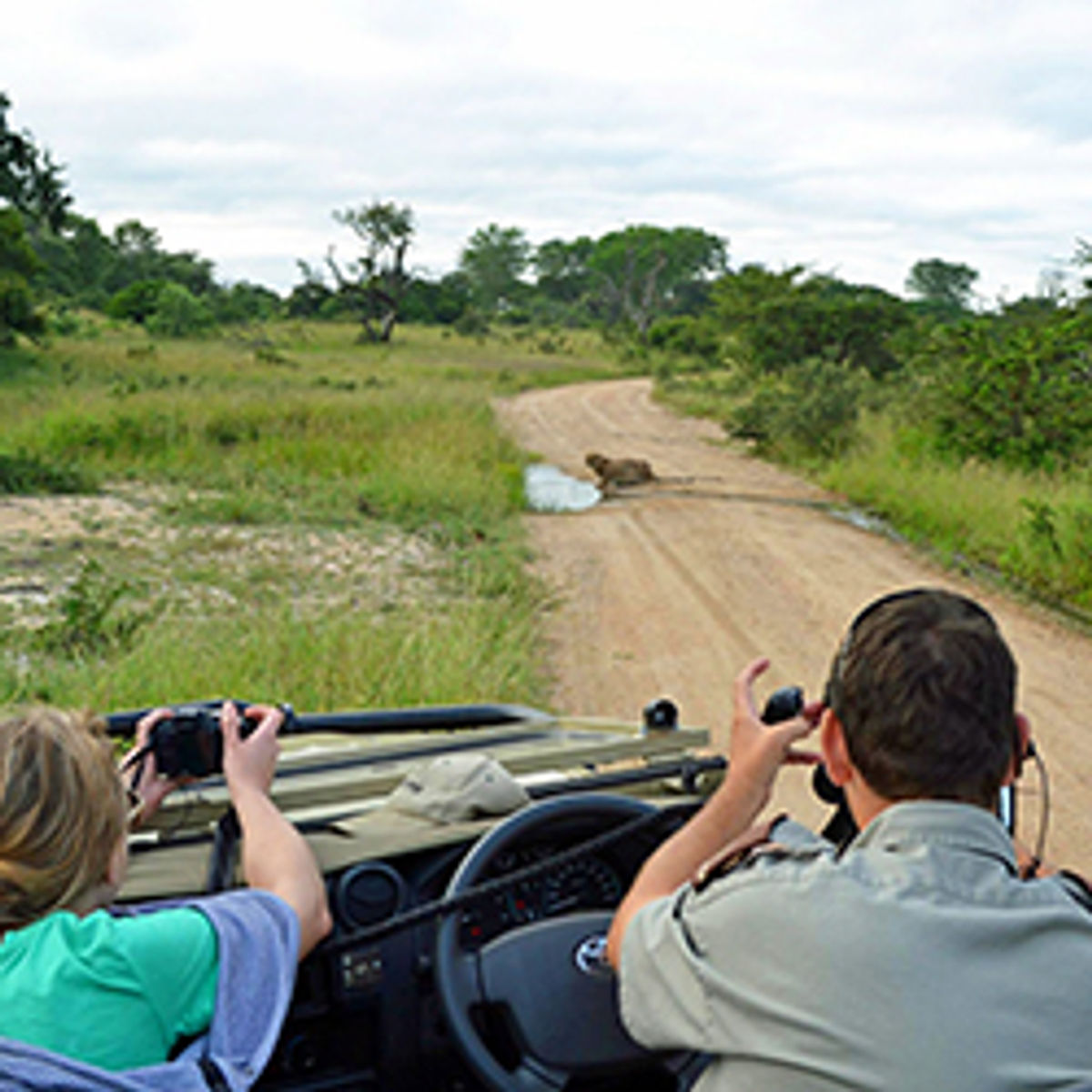 Wildland Adventures Announces New Tour Lineup for 2017 | TravelAge West