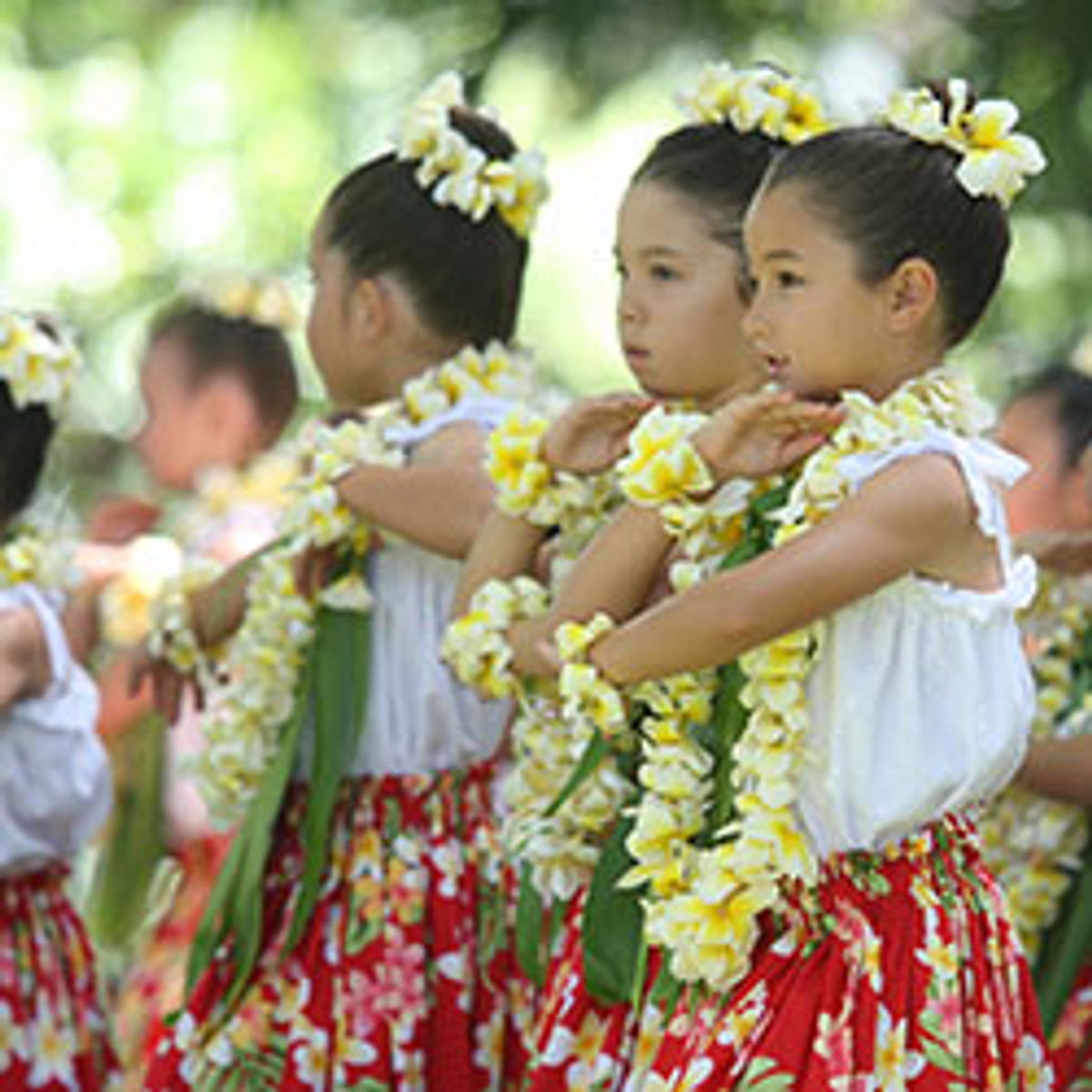 Aloha! Hawaiian Culture, Heritage, and History Come to Life in Oahu ...