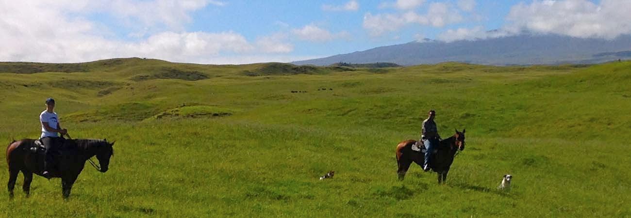 Hawaii Island on Horseback at Dahana Ranch | TravelAge West