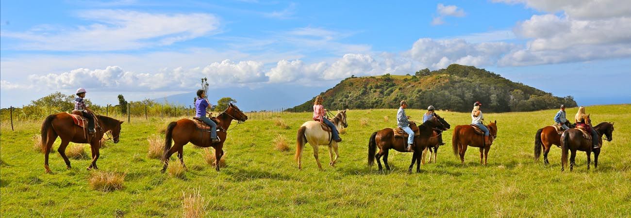Seven Scenic Maui Horseback Riding Tours | TravelAge West