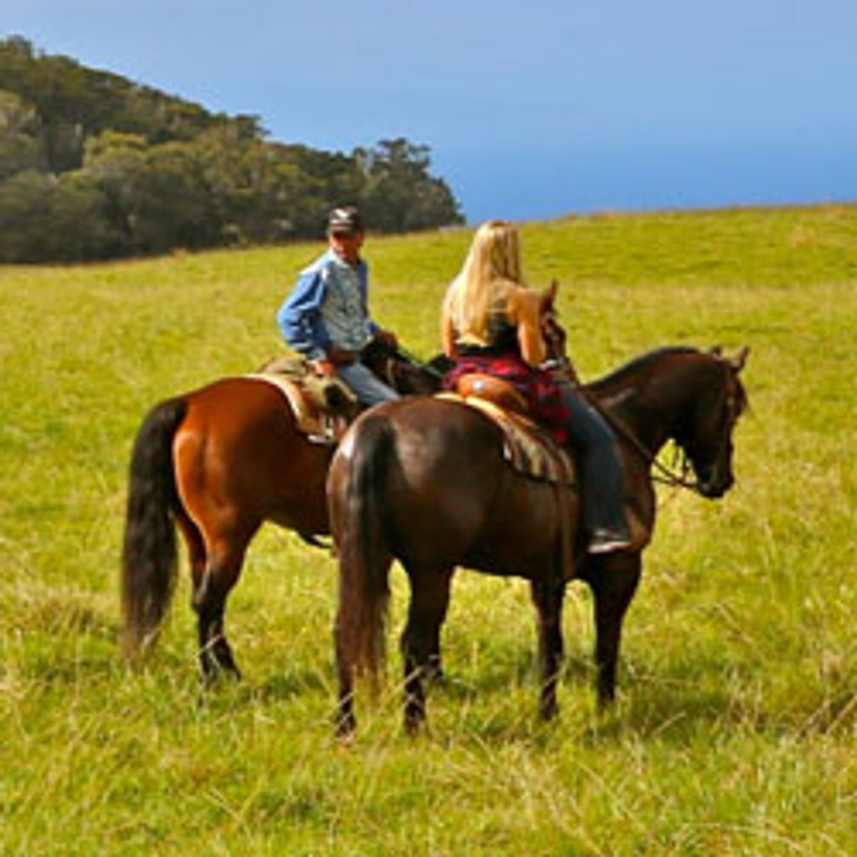 Seven Scenic Maui Horseback Riding Tours | TravelAge West