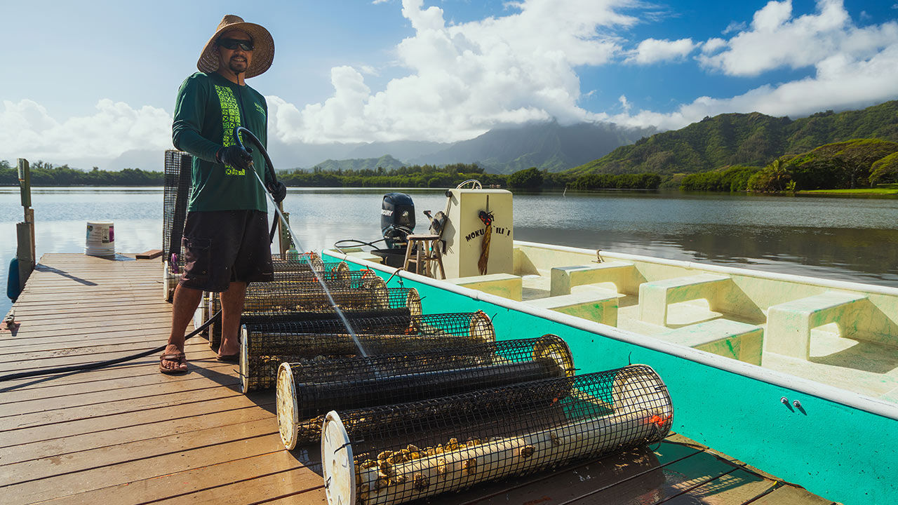 Oahu's Kualoa Ranch Launches Exciting New Food Tours | TravelAge West