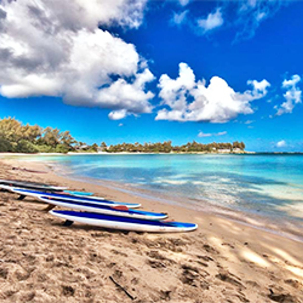 Hotel Review: Turtle Bay Resort | TravelAge West