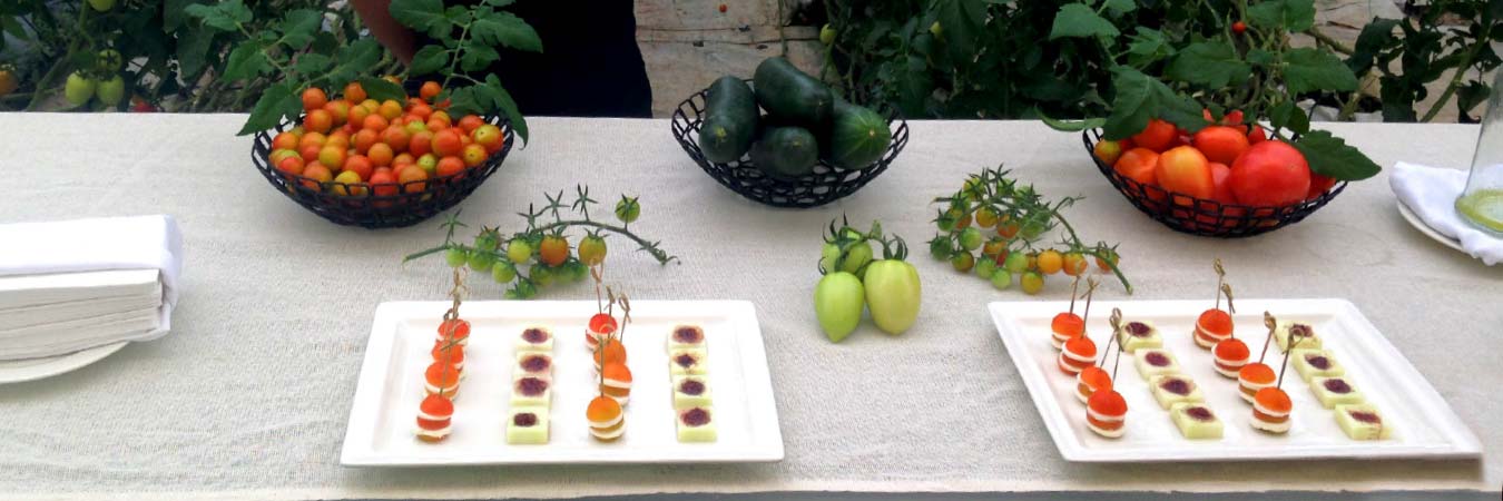 Generations Riviera Maya Wins with Gourmet Luxury | TravelAge West