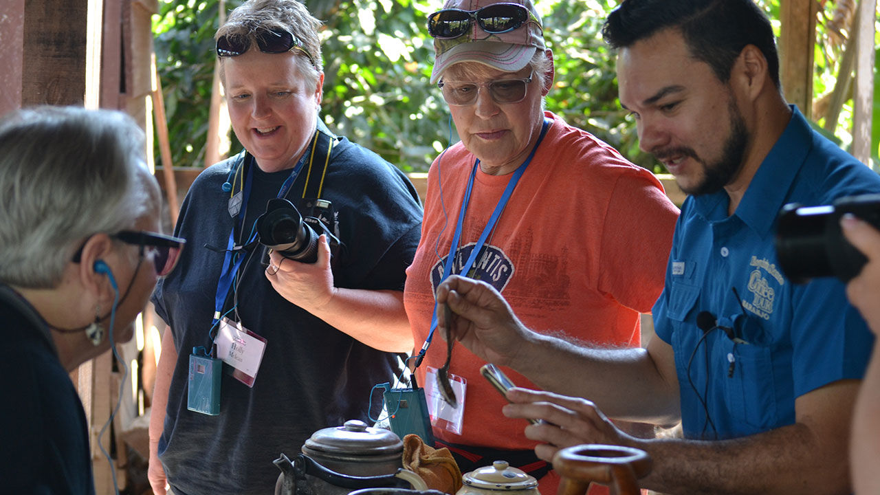 After a Yearlong Hiatus, Collette Resumes International Tours ...