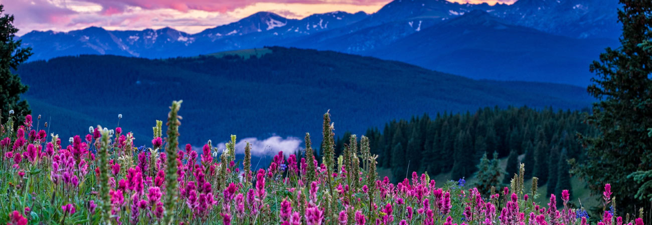 Why You Should Also Visit Vail During Summer | TravelAge West