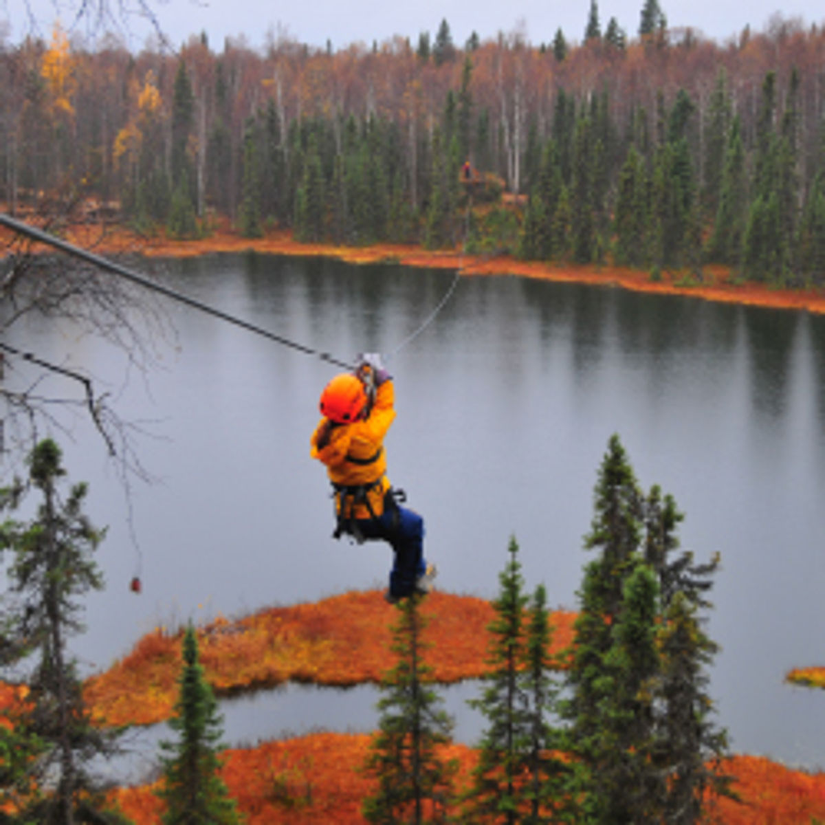 Ziplining in Alaska | TravelAge West