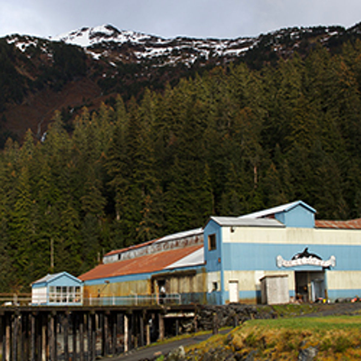What to Do in Captivating Cordova, Alaska | TravelAge West