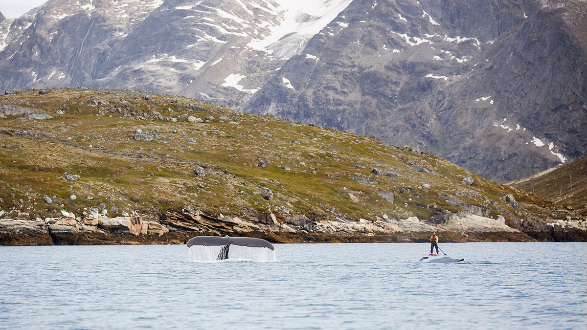 Expedition Cruise Lines and Itineraries to Look Forward to in 2024 and ...