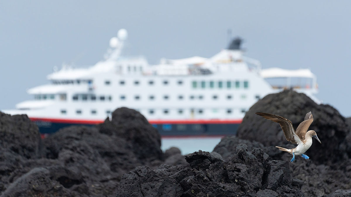 Where to Find the Best Expedition Cruises Outside the Poles | TravelAge ...