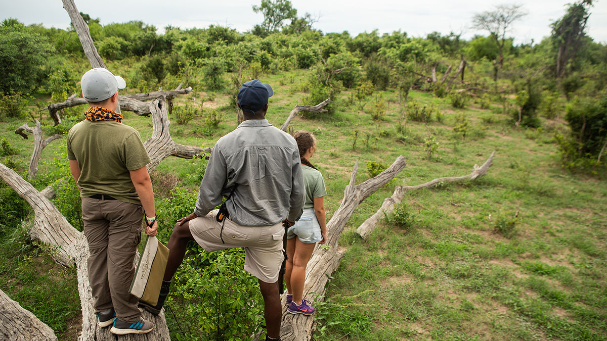 What It's Like Taking the Family on a 'Young Explorers' Safari With ...