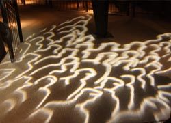 My Own “Amazing Race” | TravelAge West