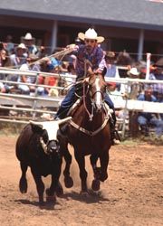 Upcountry Maui | TravelAge West