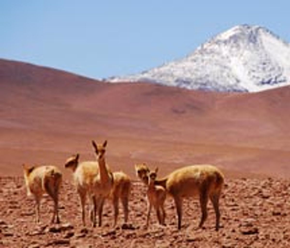 The Colors of Chile | TravelAge West