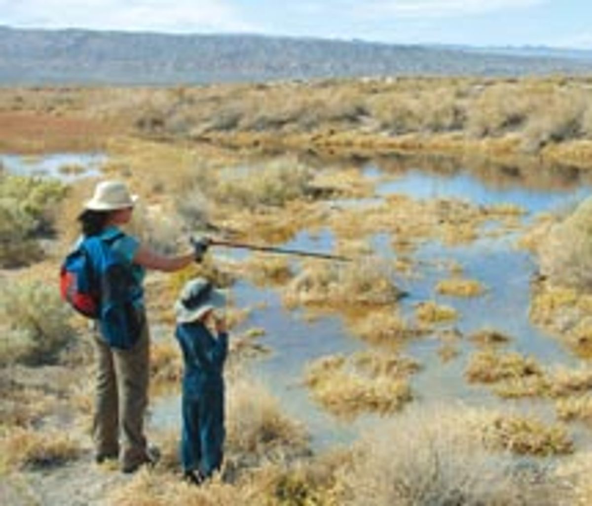 Activities in Jasper National Park | TravelAge West