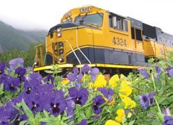 Great Alaska Beer Train | TravelAge West