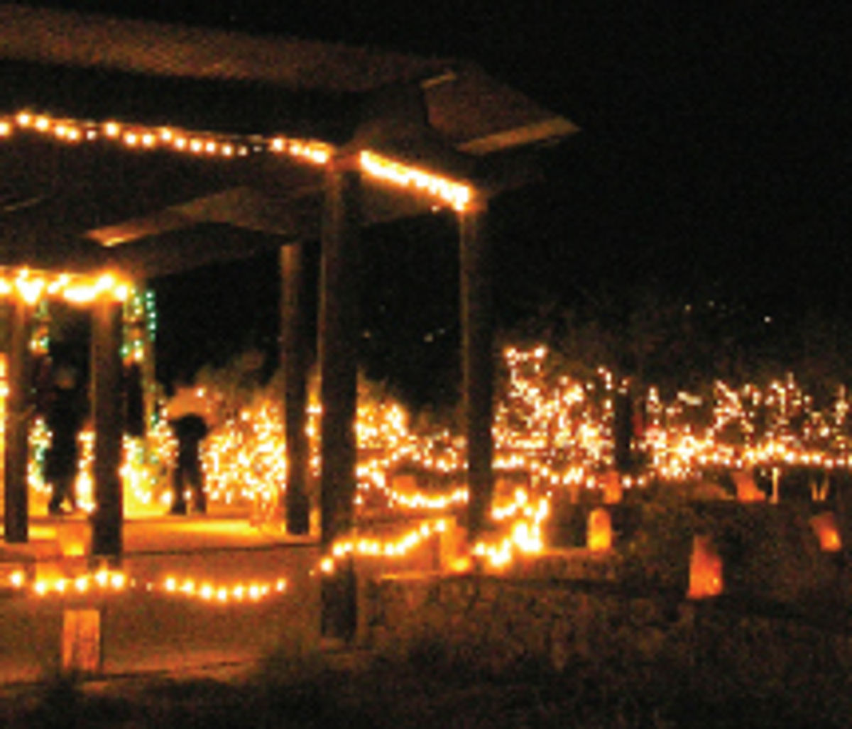 Tohono Chul Park's Botanical Gardens Sparkle | TravelAge West