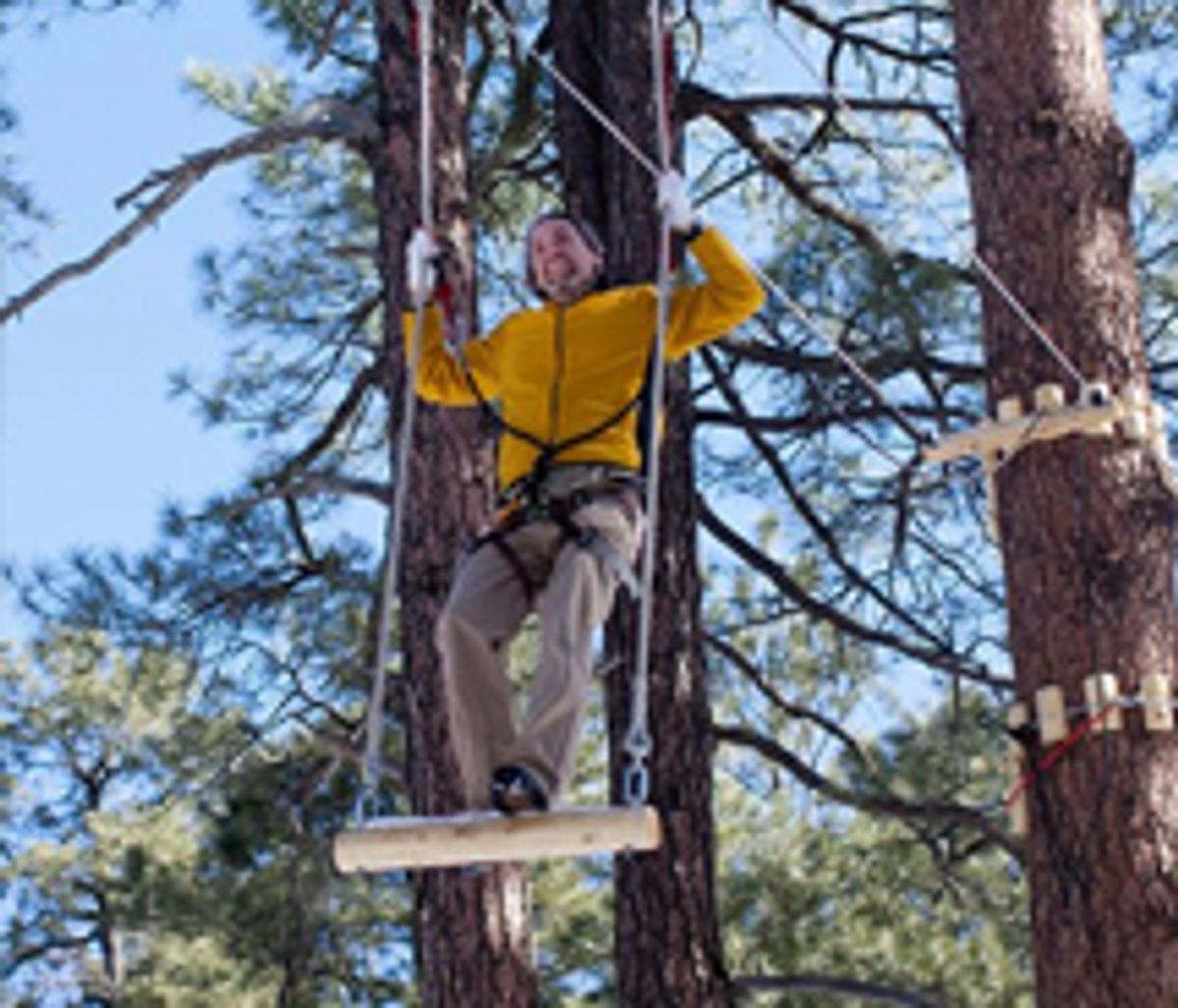Flagstaff Adventure Course Opens | TravelAge West