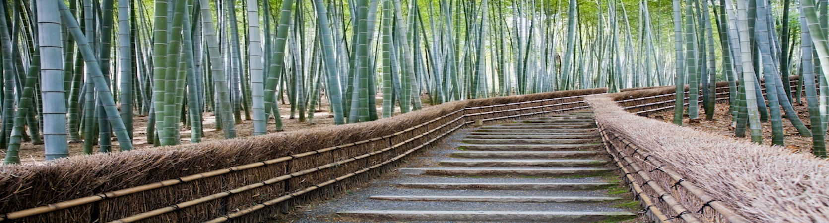 Travel Agent Talk: Noriko Townsend | TravelAge West