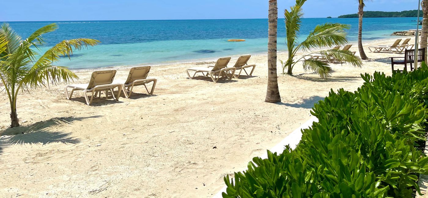 Jamaica's Minister of Tourism Speaks About the Island's Resilient ...