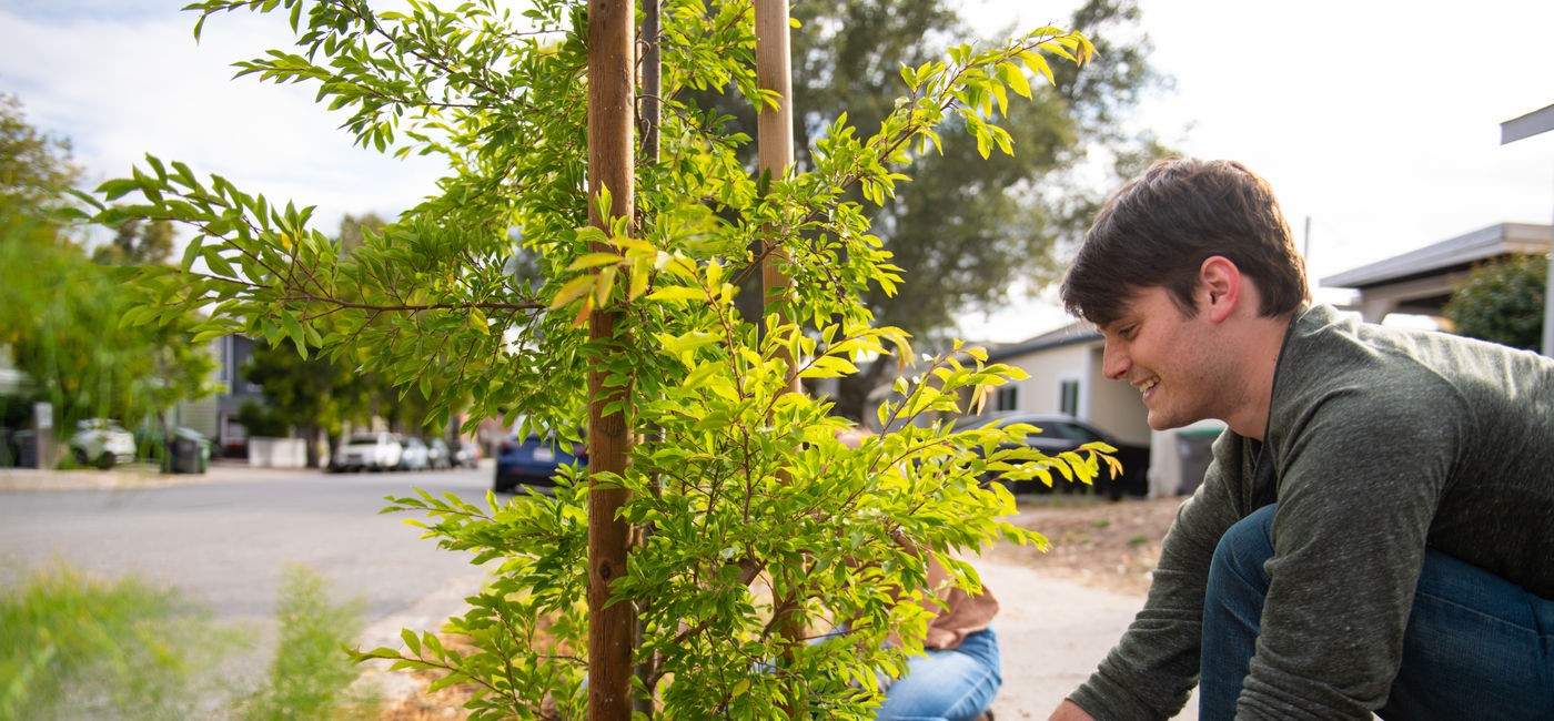 Kind Traveler's Every Stay Gives Back Program Helps Plant Trees in San ...
