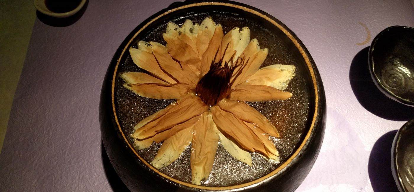 Les meilleures destinations véganes en 2026 | TravelPulse Quebec