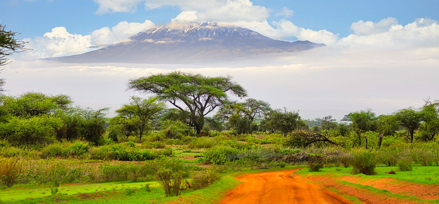 Signature’s Non-Profit Arm Unveils 2026 Global Impact Grants | TravelPulse